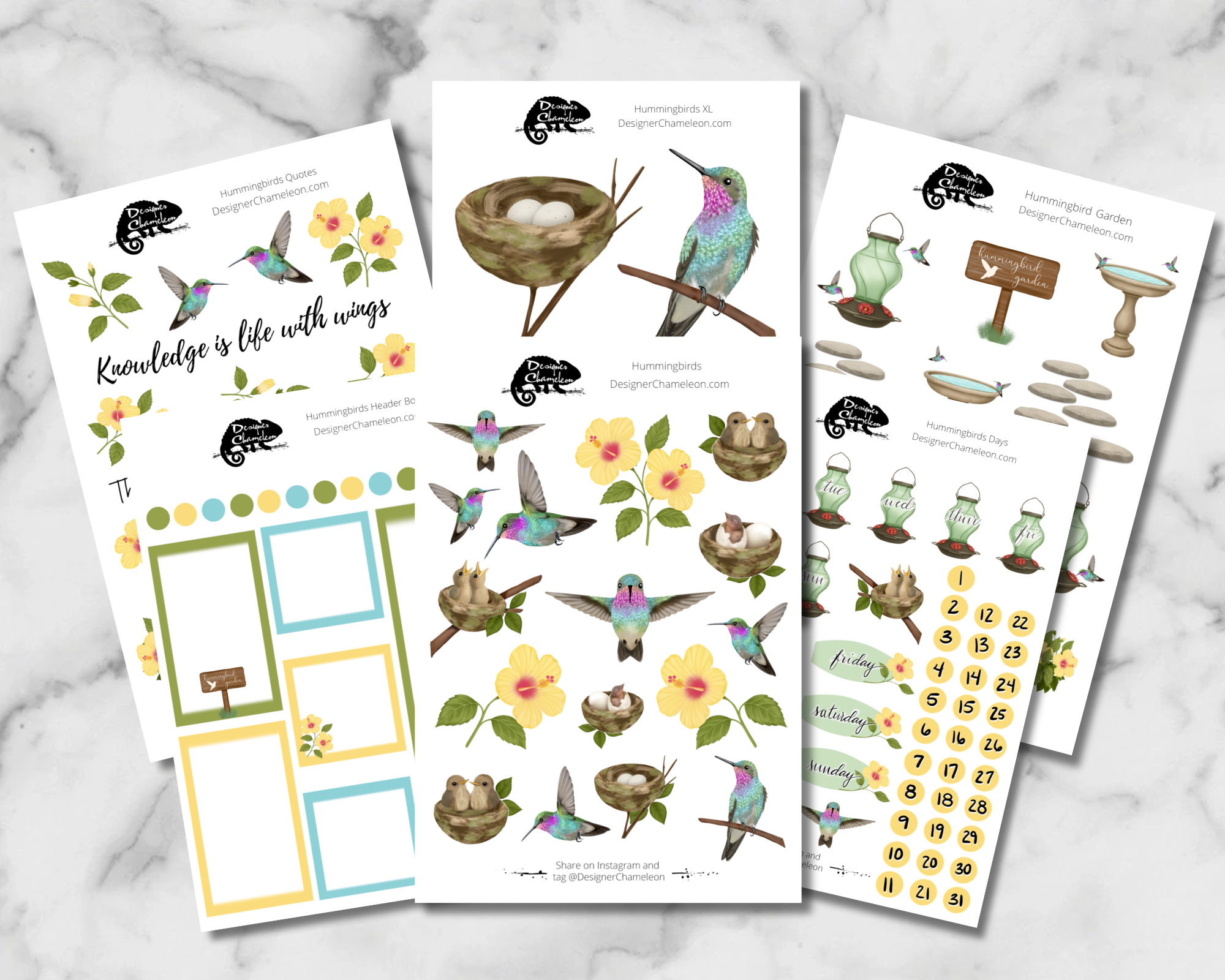 Decorative Collection – Designer Chameleon