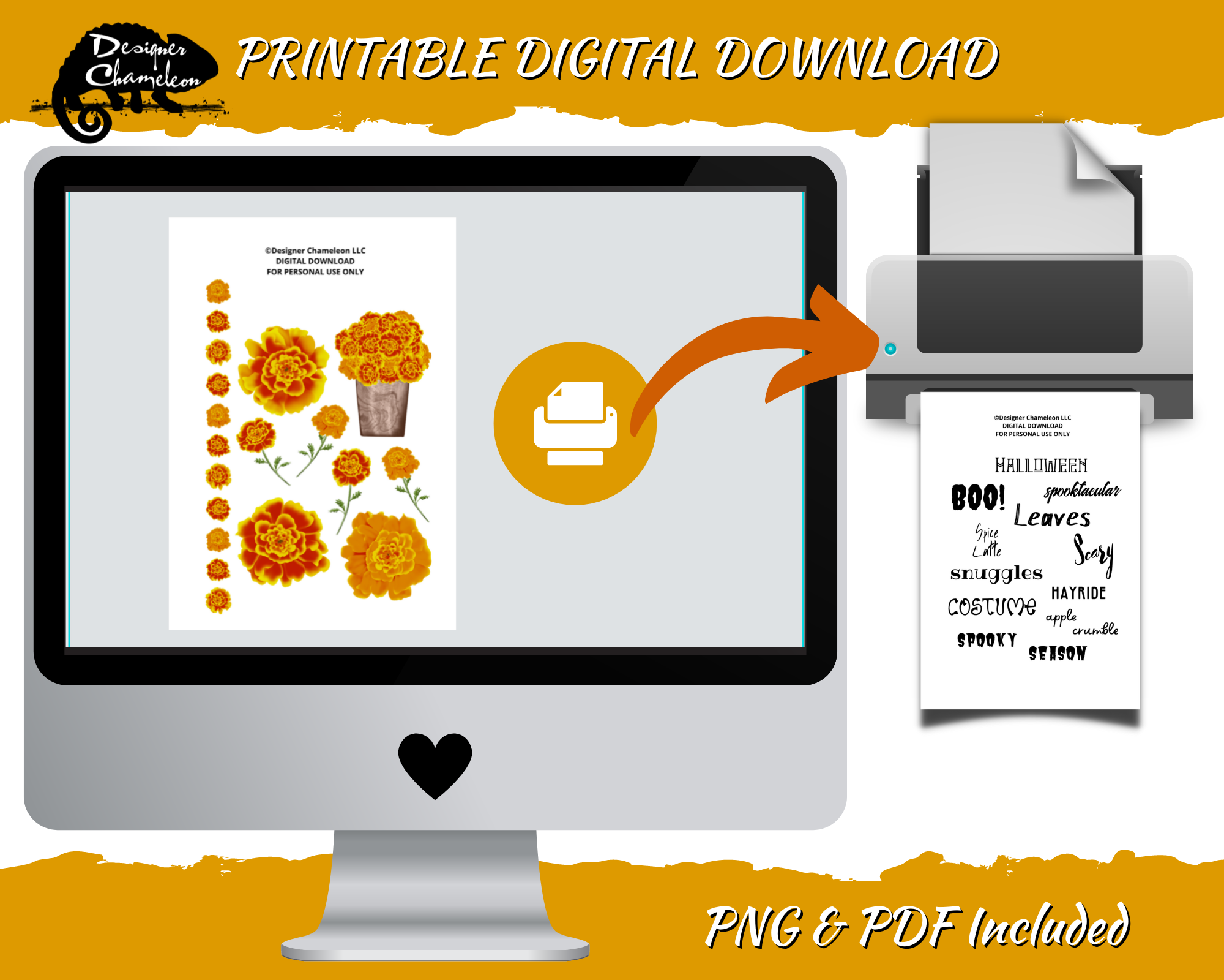 About – Designer Chameleon